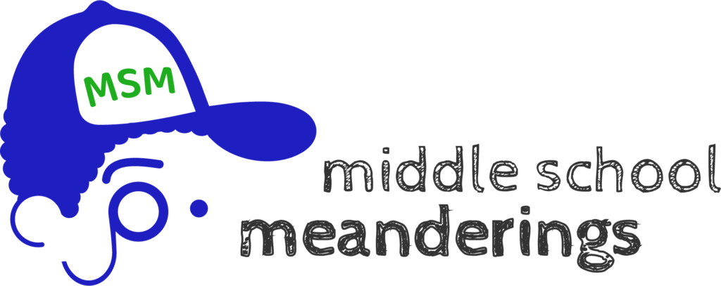 MSM - Travel and Work Remotely